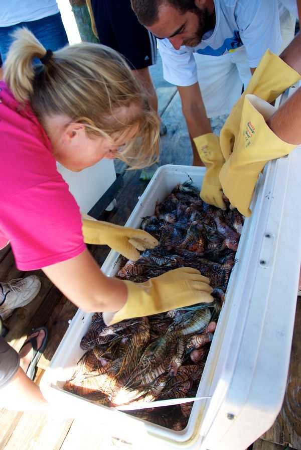 Catch 'em, Clean 'em, Eat 'em | Coastal Angler & The Angler Magazine