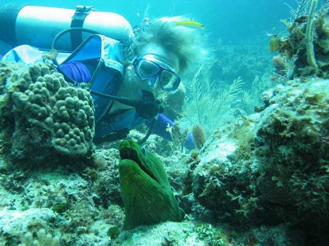 Abaco Dive Forecast – November 2011 - Coastal Angler & The Angler Magazine