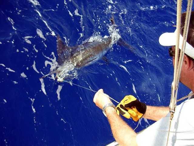 Exuma Fishing Forecast – May 2012 - Coastal Angler & The Angler Magazine