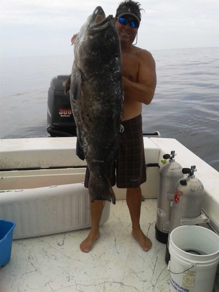 Fish Focus: Anger Management - Coastal Angler & The Angler Magazine