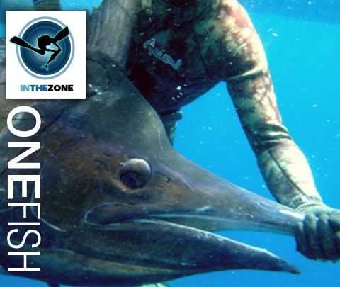 One Fish-Spearfishing Film - Coastal Angler & The Angler Magazine