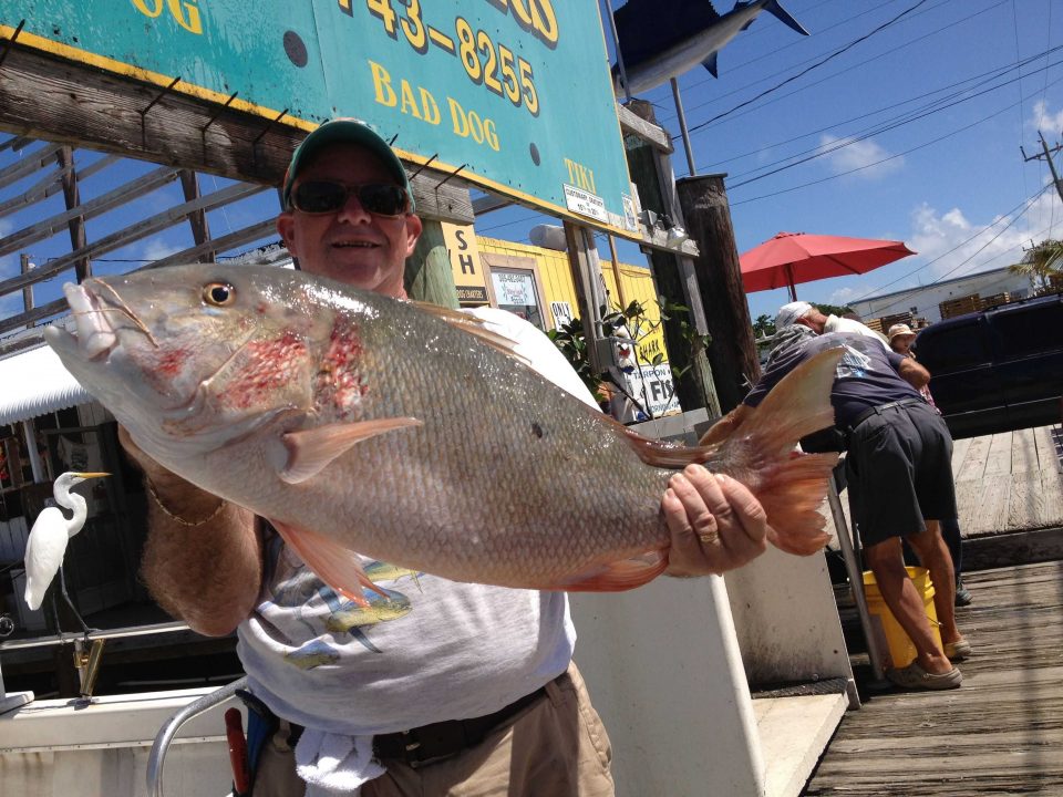 shallow reef mutton - Coastal Angler & The Angler Magazine