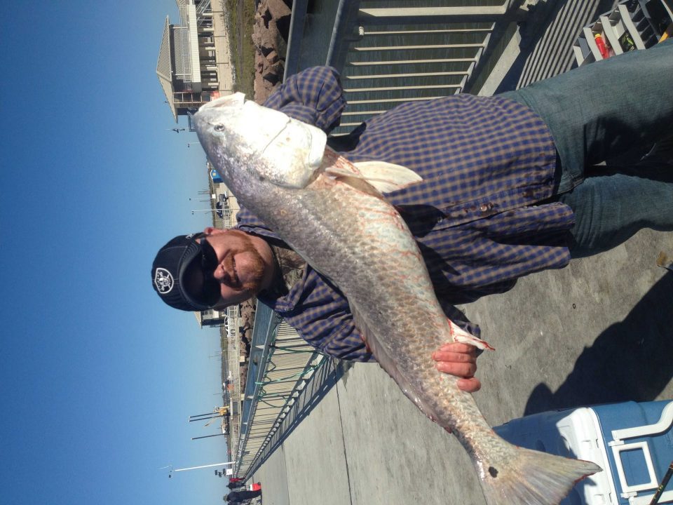 Bull redfish | Coastal Angler & The Angler Magazine
