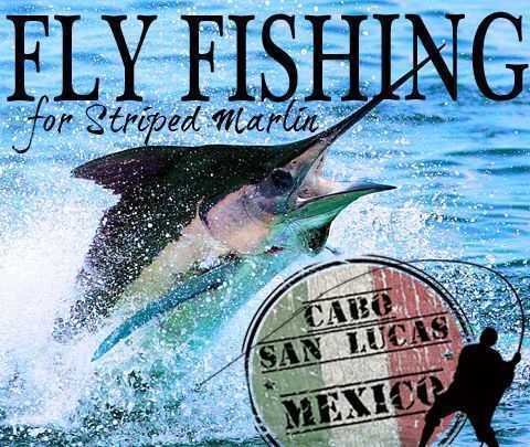 Fly Fishing for Striped Marlin - Coastal Angler & The Angler Magazine