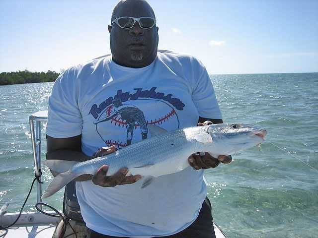 Bimini Inshore Fishing Forecast – June 2013 - Coastal Angler & The ...