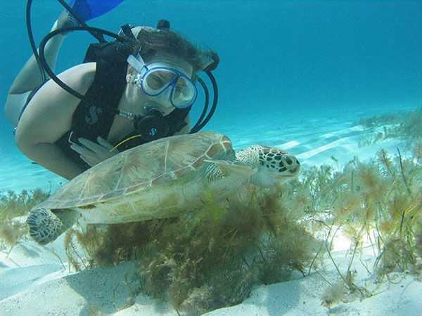 Abaco Dive Forecast – July 2013 - Coastal Angler & The Angler Magazine