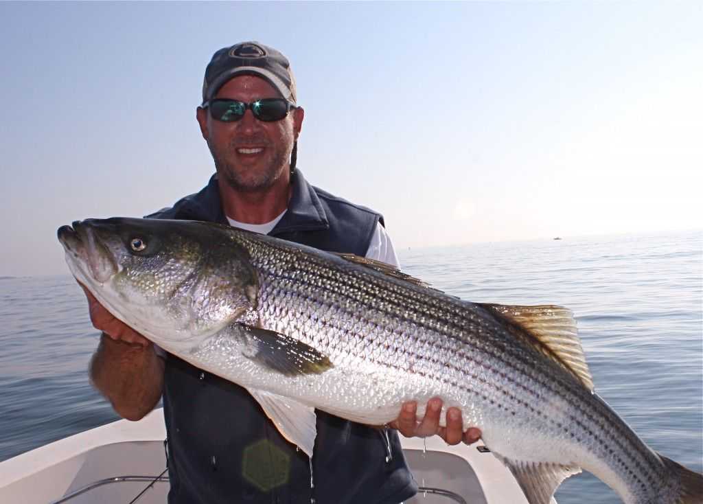 The Right Lenses | Coastal Angler & The Angler Magazine