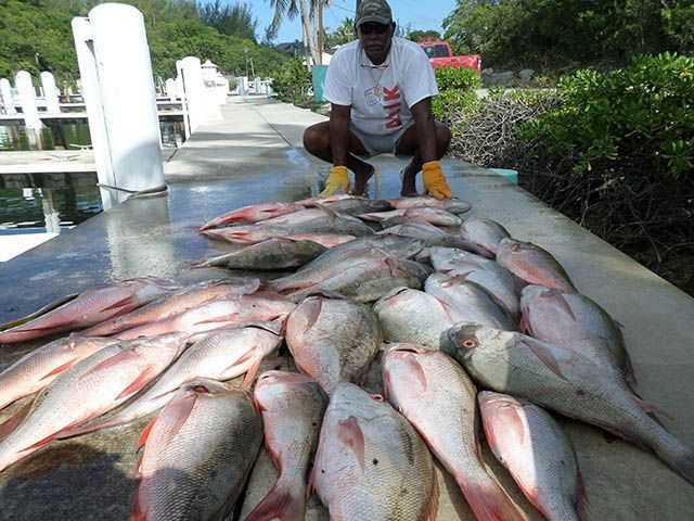 Berry Islands, Bahamas Fishing Report
