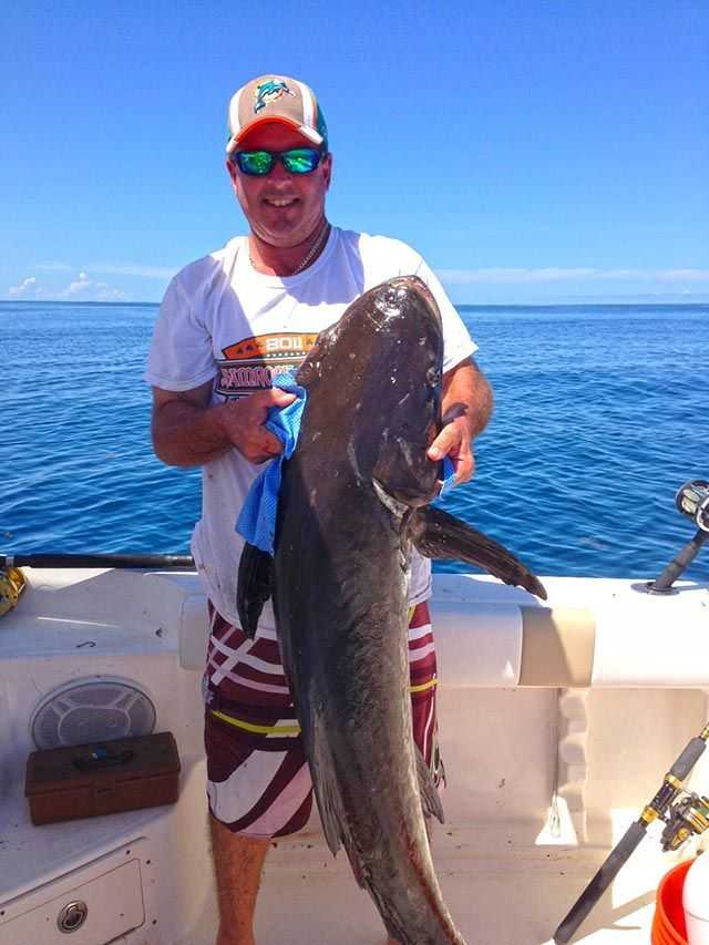 Nice sized cobia! - Coastal Angler & The Angler Magazine