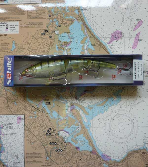 Stripers Can’t Resist the Temptation: Magic Swimmer 228 | Coastal ...