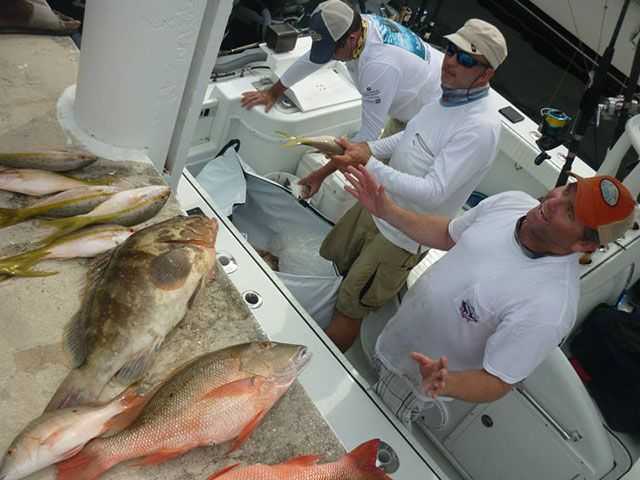 Berry Islands Fishing Report and Forecast: Nov. 2013 - Coastal Angler ...