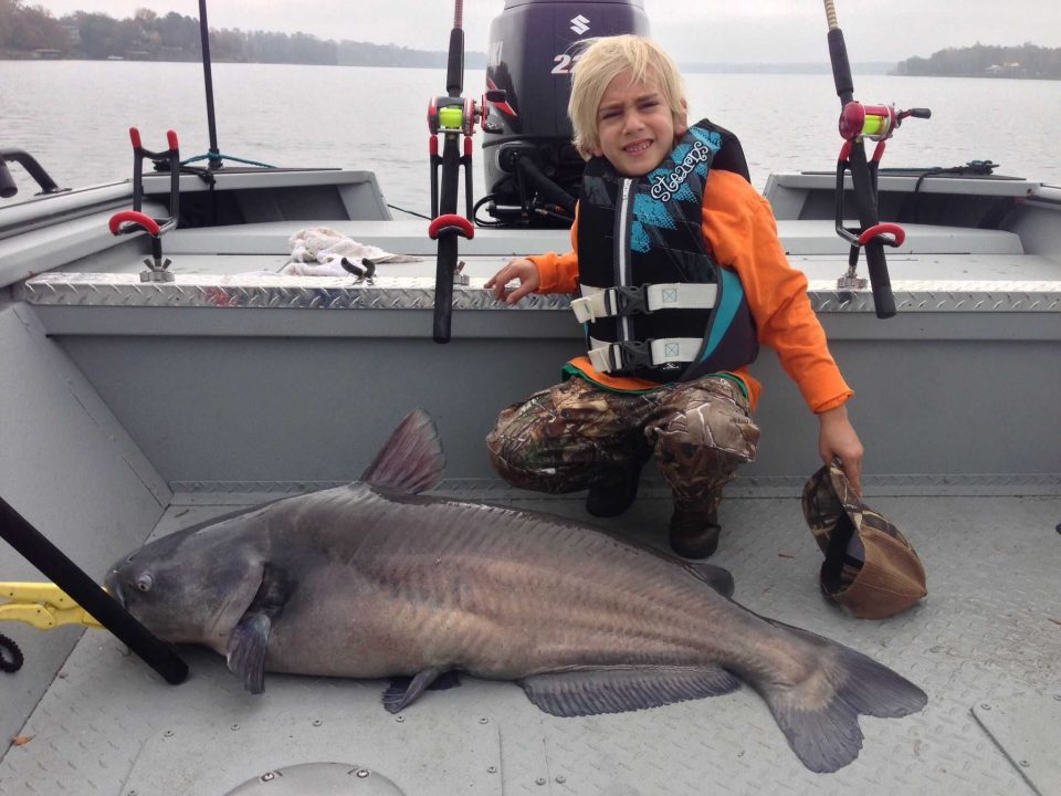 43 pound Blue Cat - Coastal Angler & The Angler Magazine