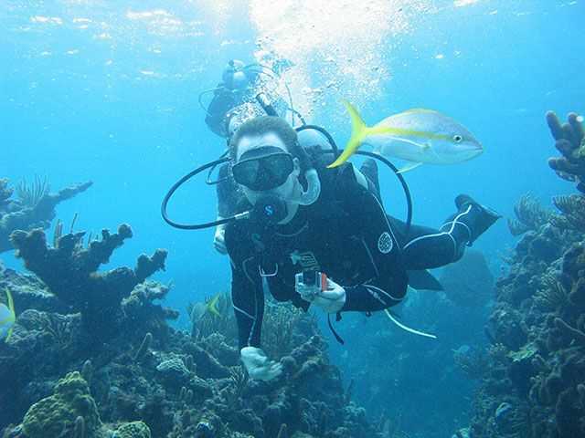 Abaco SCUBA Conditions and Forecast: January 2014 - Coastal Angler ...
