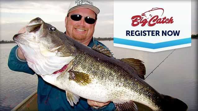 Releasing Florida’s biggest TrophyCatch earns angler bling and ultimate ...
