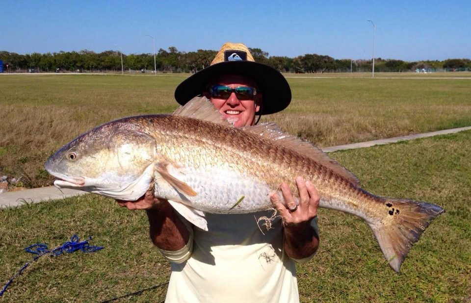 Great fighter | Coastal Angler & The Angler Magazine