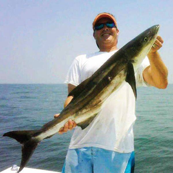 Do it Yourself: The Bottom Line on Cobia - Coastal Angler & The Angler ...