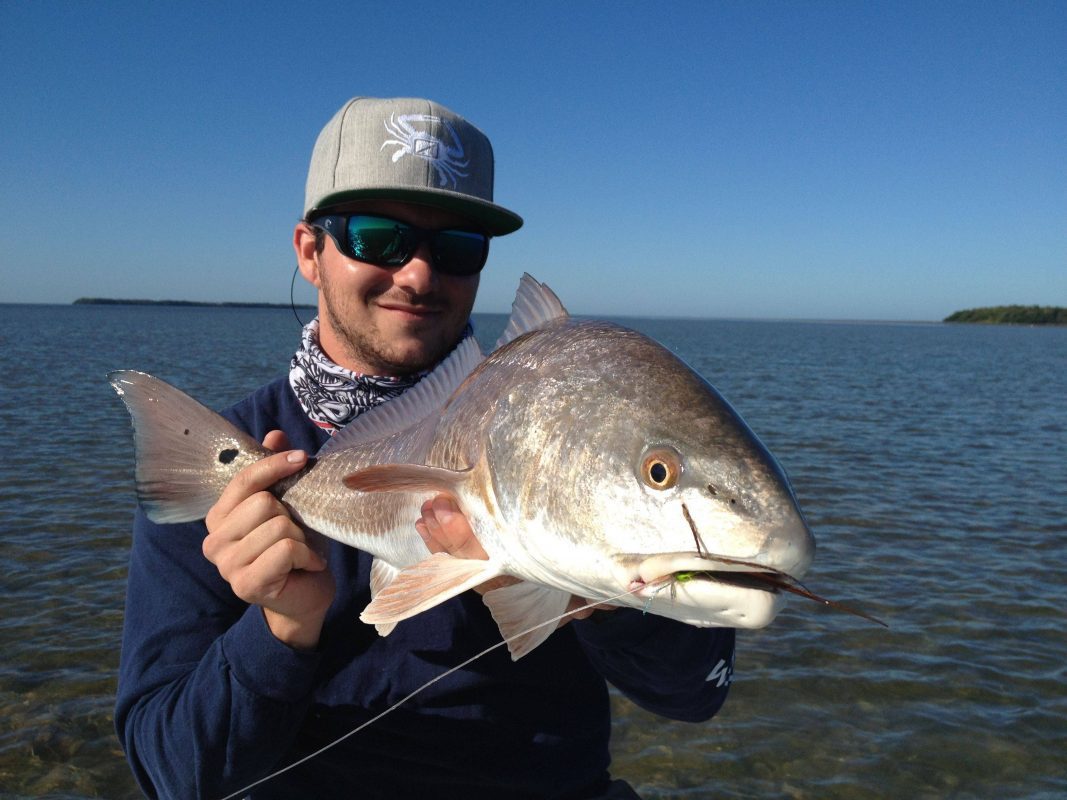 Biscayne Bay / Flamingo & Everglades Fishing Report: June 2014 ...