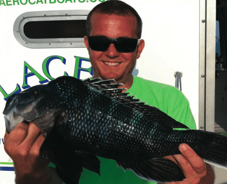 Black Sea Bass... A Great Catch for Anglers | Coastal Angler & The ...