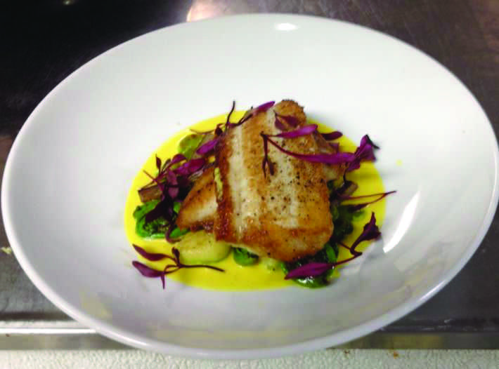 Ocean State Fluke - Coastal Angler & The Angler Magazine