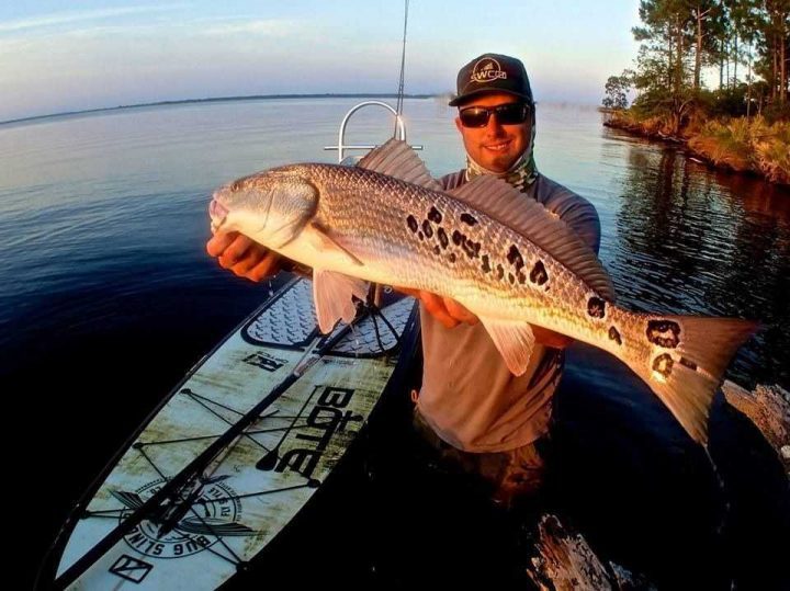 Leopard Red - Coastal Angler & The Angler Magazine