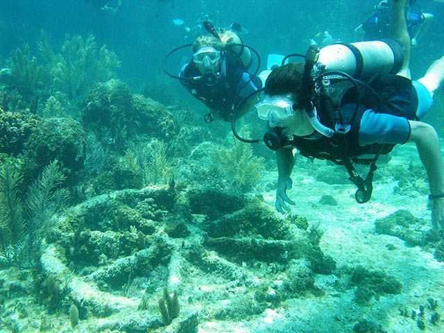 Abaco SCUBA Conditions & Forecast: August 2014 - Coastal Angler & The ...