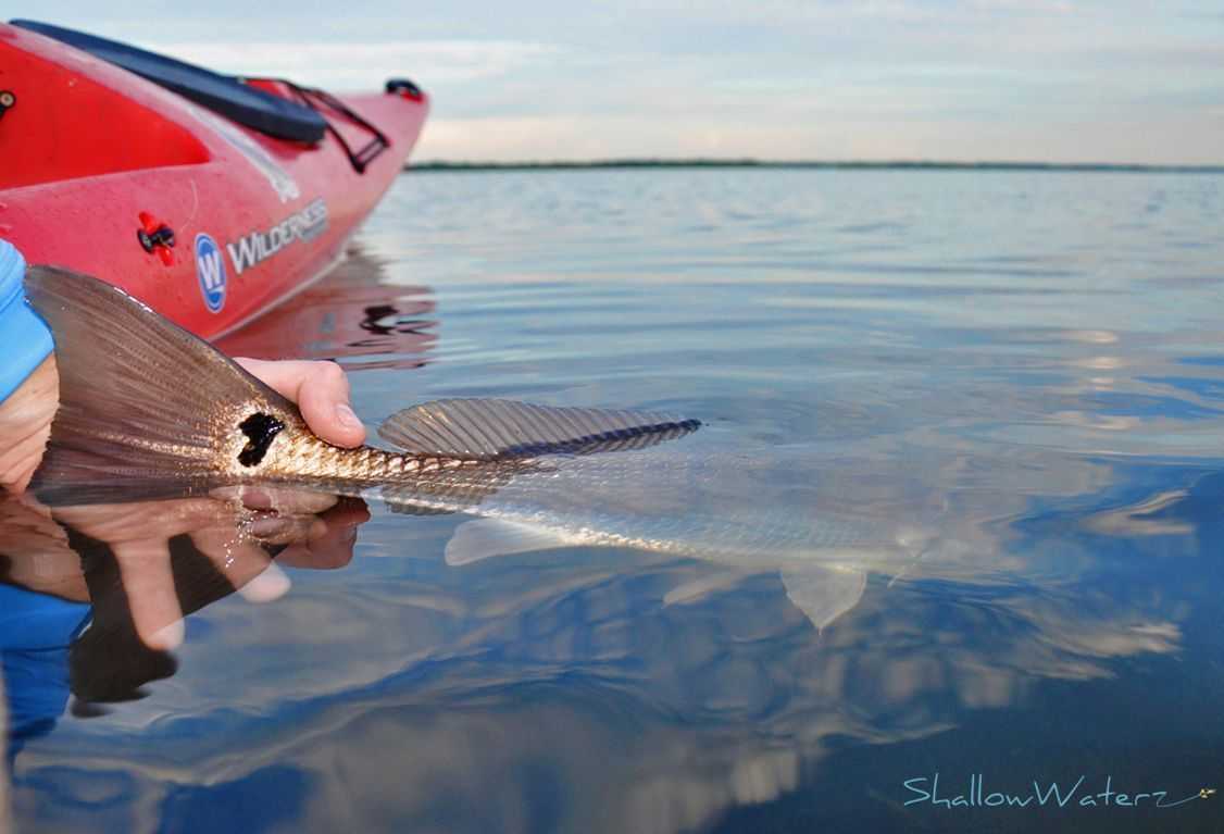 Kayak Red - Coastal Angler & The Angler Magazine