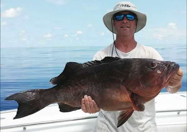 Offshore/Bottom Fishing Forecast: August 2014 - Coastal Angler & The ...