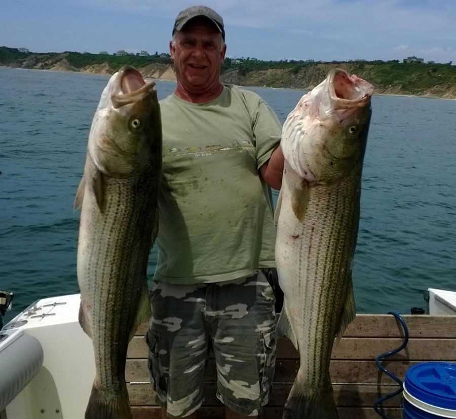 Cow Bass Parade Continues at Block Island—But No 100-Pounders ...