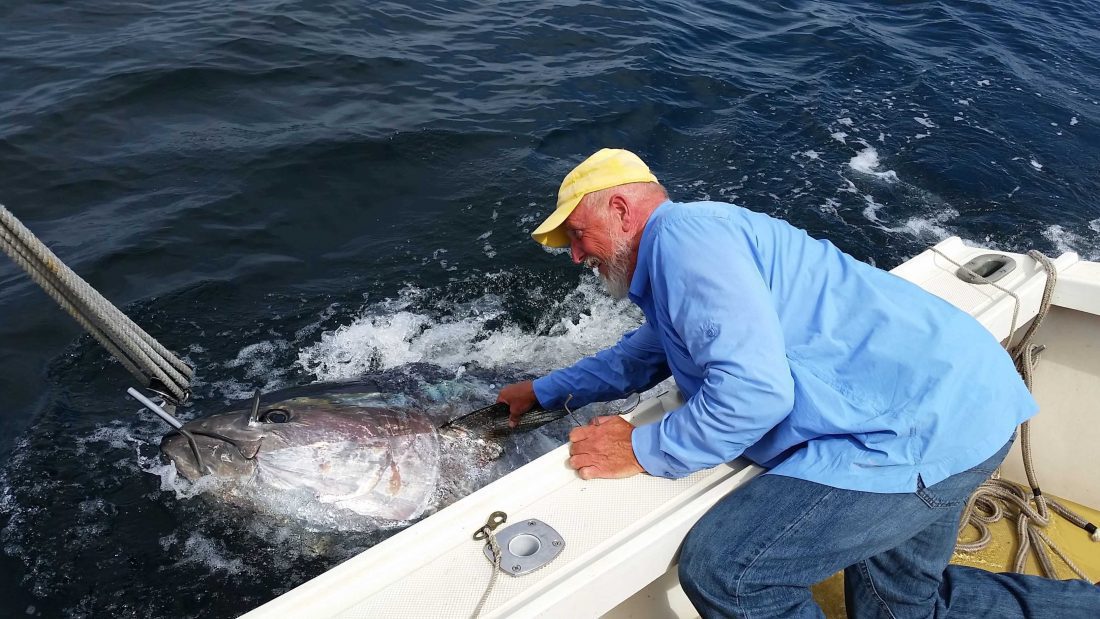 900lb Bluefin tuna - Coastal Angler & The Angler Magazine