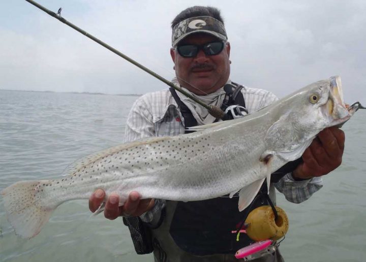 Birds, Tailers, or Big Trout? - Coastal Angler & The Angler Magazine