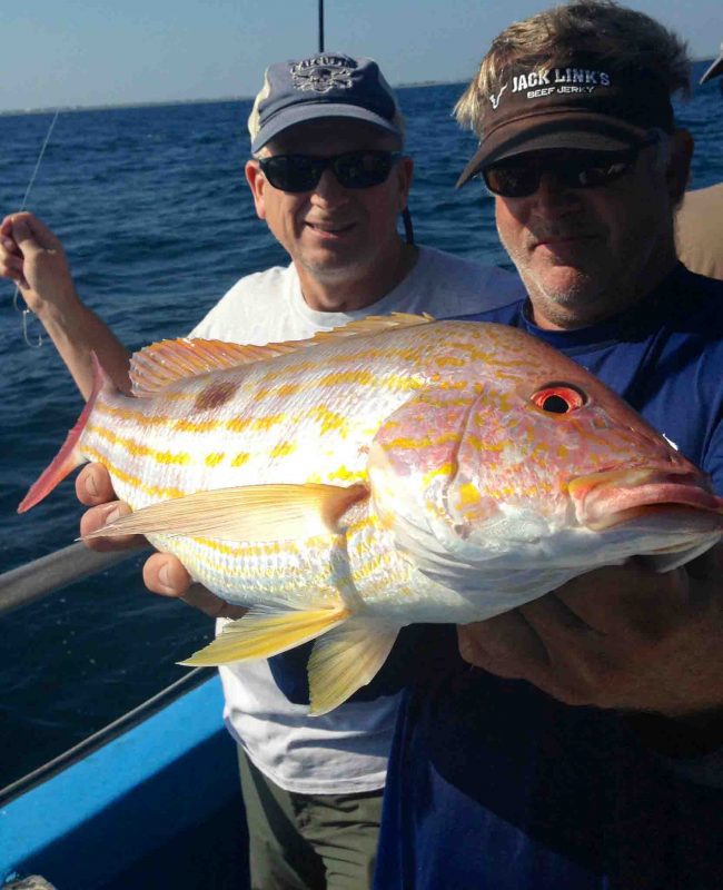 Get your snapper on! - Coastal Angler & The Angler Magazine