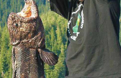Baby Godzilla Rises From The Depths | Coastal Angler & The Angler Magazine