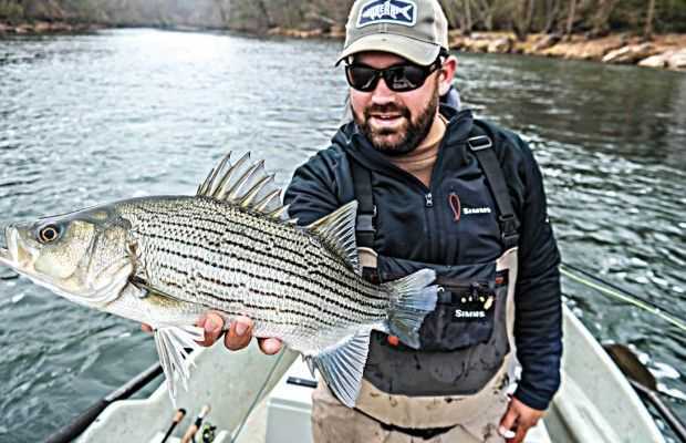 Free Fishing Magazine