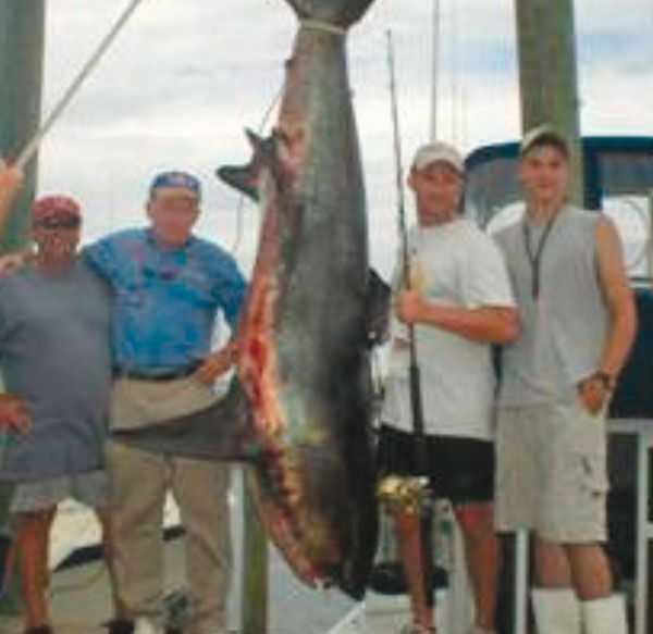 The Monster Sharks Return to Newport - Coastal Angler & The Angler Magazine