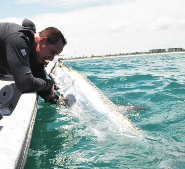 Sebastian Inlet to Eau Gallie Fishing Report: June 2015 - Coastal ...
