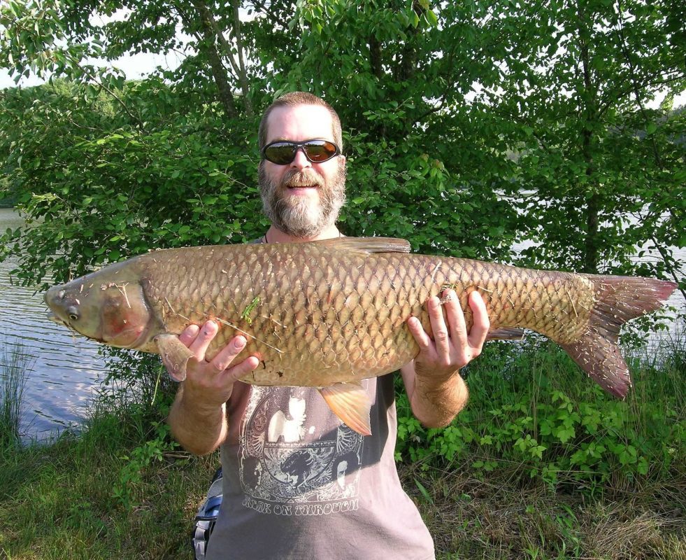 CARP!!! | Coastal Angler & The Angler Magazine