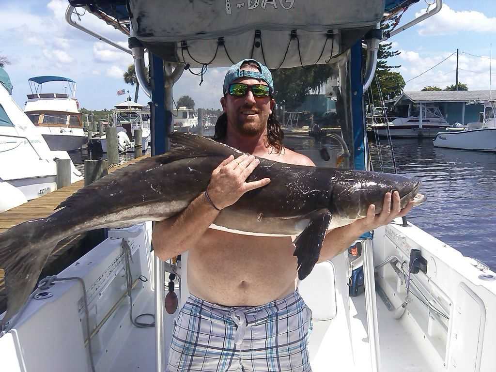 My First Cobia - Coastal Angler & The Angler Magazine