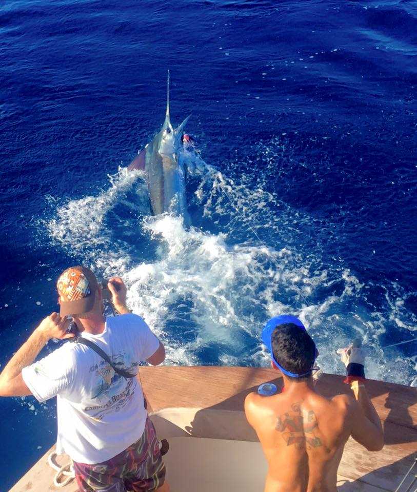 Marlin Madness at the Costa Rica Sea Mounts - Coastal Angler & The ...
