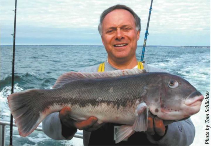 FALL BLACKFISHING, 101 - Coastal Angler & The Angler Magazine