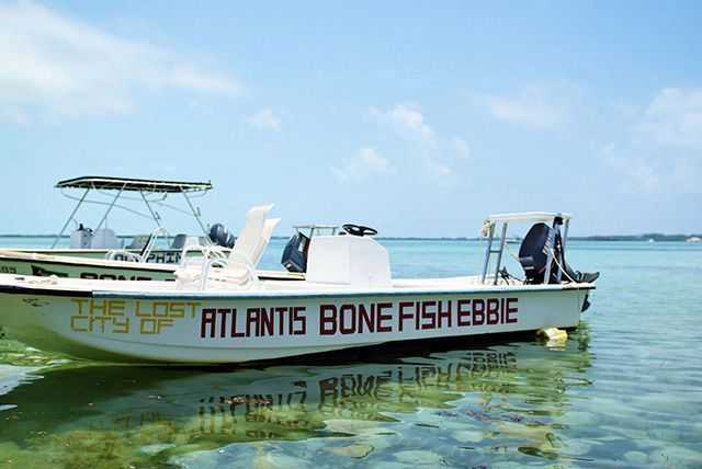 Bimini Inshore Fishing Report and Forecast: November 2015 - Coastal ...