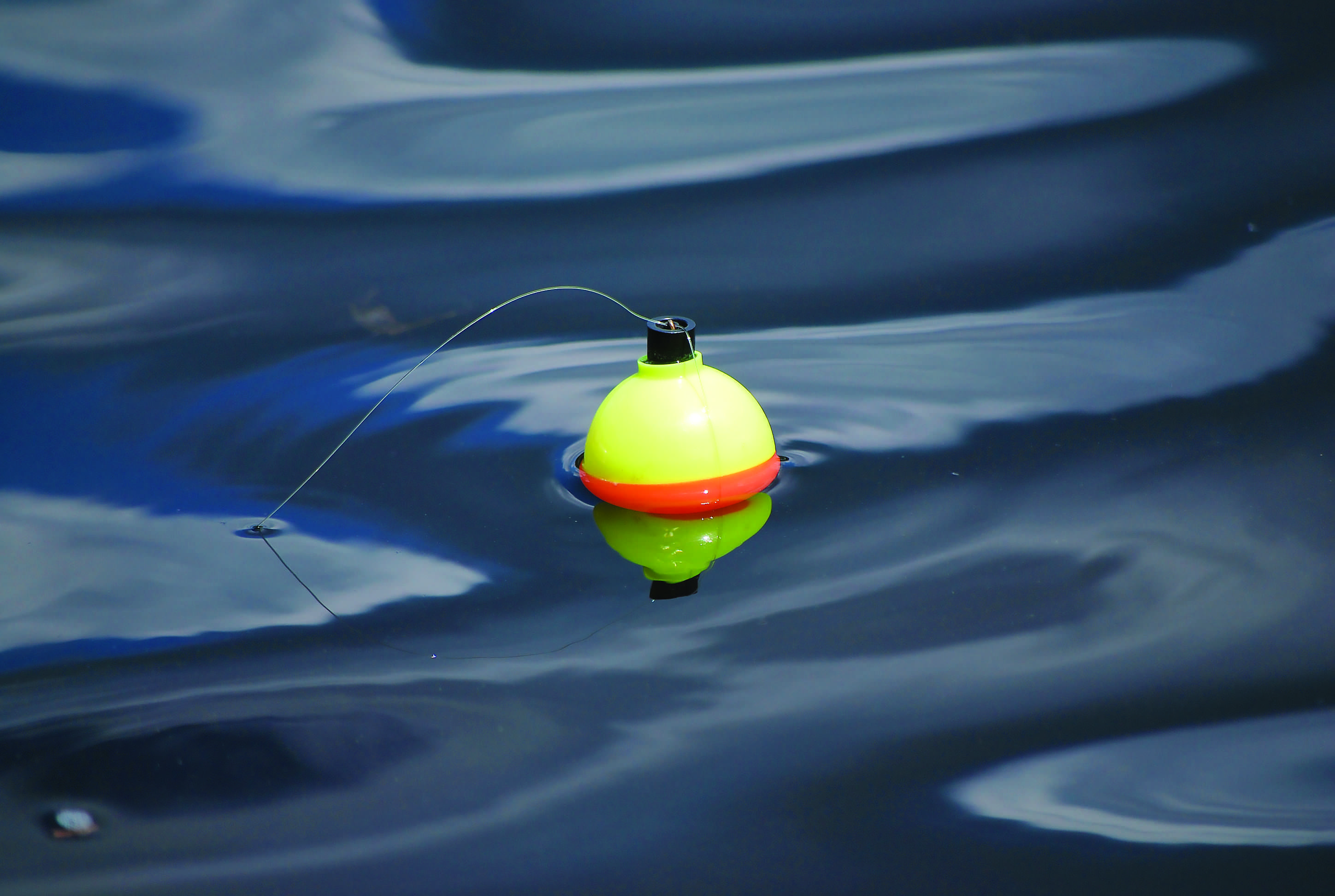 More Than The Bite | Coastal Angler & The Angler Magazine