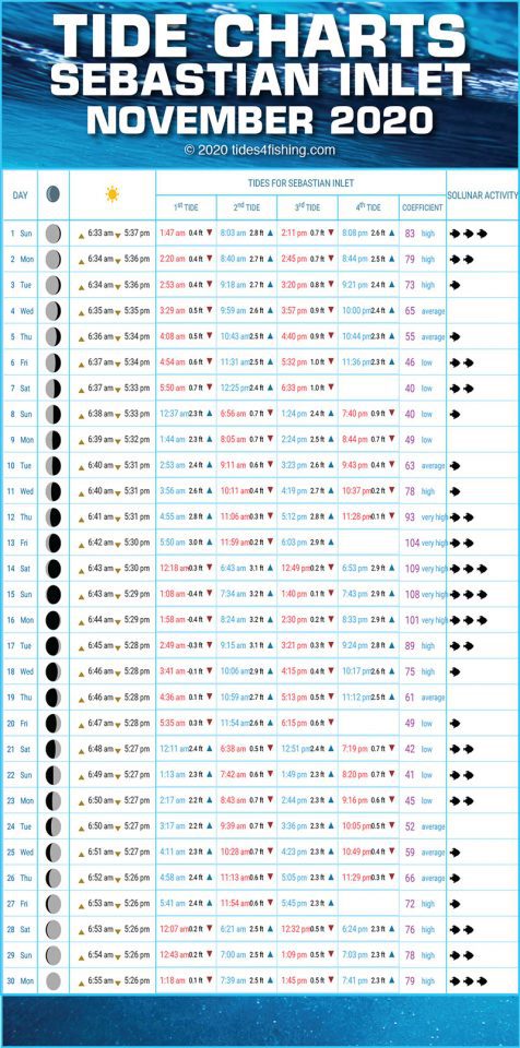 Coastal Angler Magazine - Brevard Edition | Coastal Angler & The Angler ...