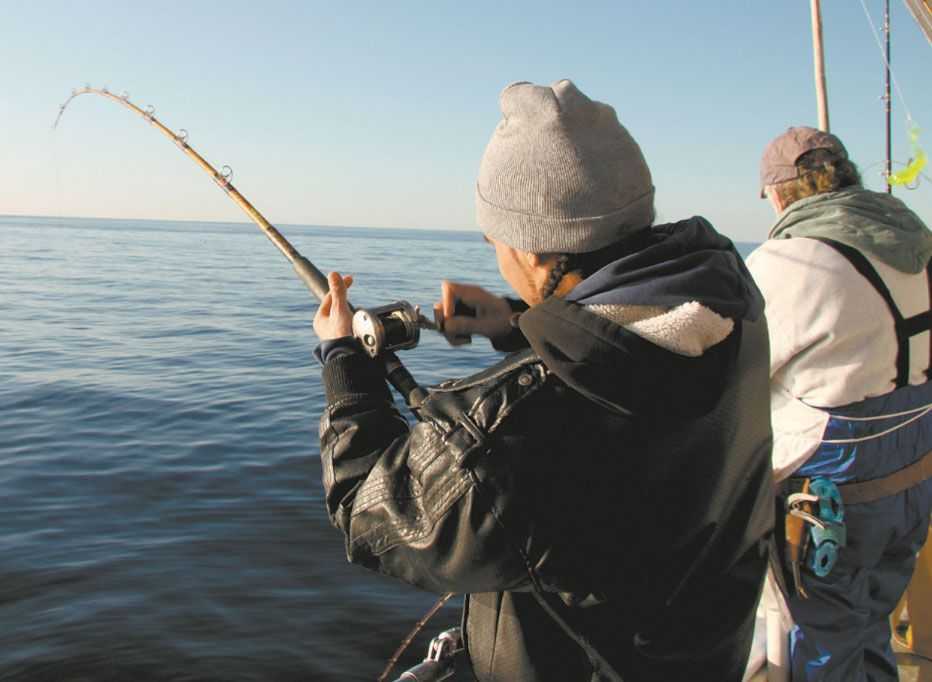 WINTER COD BASICS | Coastal Angler & The Angler Magazine