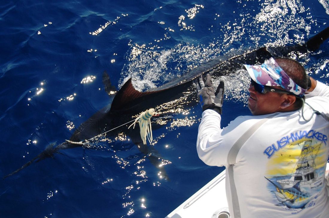 Flamingo Fishing Forecast April and May 2016 - Coastal Angler & The ...
