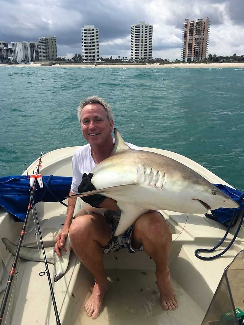 Grumpy Spinner Shark - Coastal Angler & The Angler Magazine