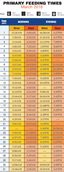 Primary Feed Times: March 2016 - Coastal Angler & The Angler Magazine