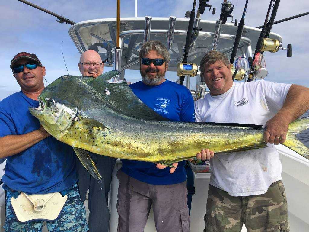 Understanding the Fishing Spring Transition - Coastal Angler & The ...