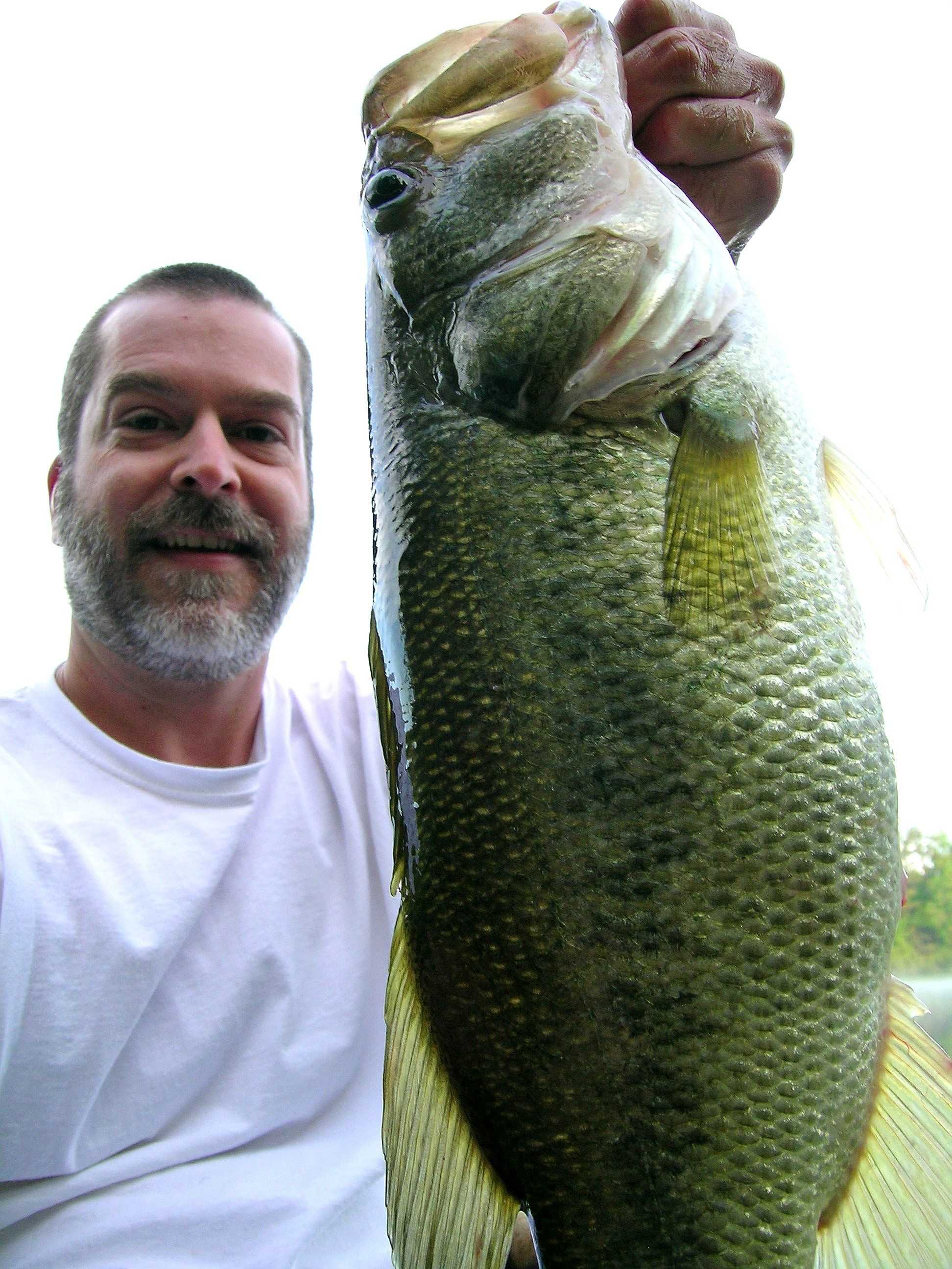 Tug Boat! - Coastal Angler & The Angler Magazine