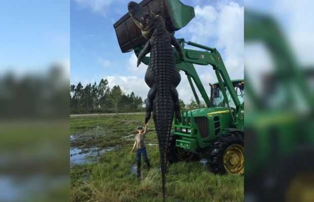 Free Fishing Magazine