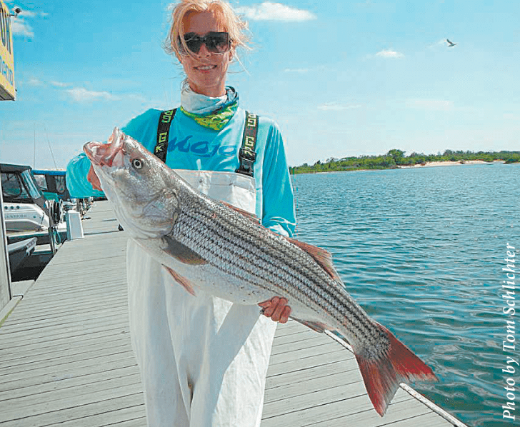 Word on the Bite – Striper Fish - Coastal Angler & The Angler Magazine